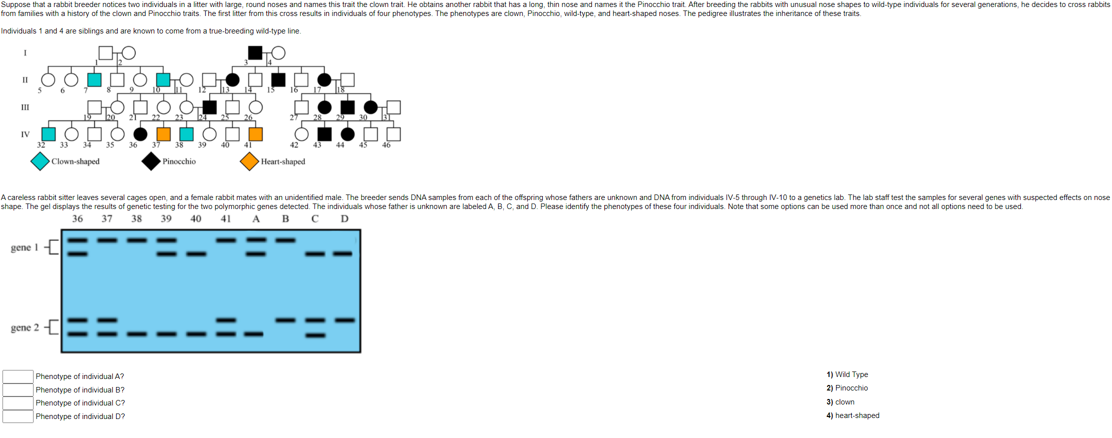 Solved A careless rabbit sitter leaves several cages open, | Chegg.com