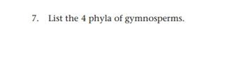 Solved 7. List the 4 phyla of gymnosperms. | Chegg.com
