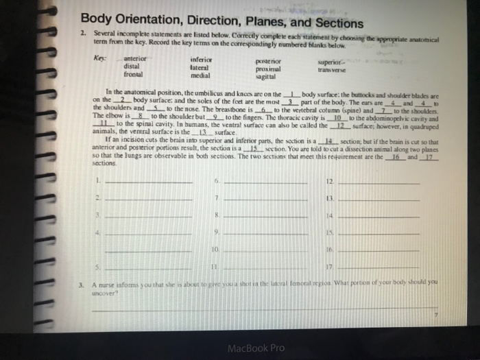 Solved Body Orientation, Direction, Planes, and Sections 2. | Chegg.com