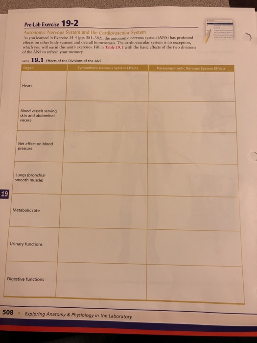 Solved Pre-Lab Exercise 19-2 Autonomic Nervous System and | Chegg.com
