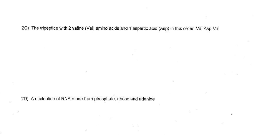 Solved 2) Using the monomers (molecular "building blocks") | Chegg.com