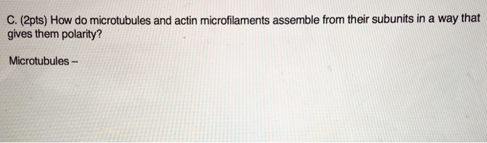 Solved C. (2pts) How do microtubules and actin | Chegg.com