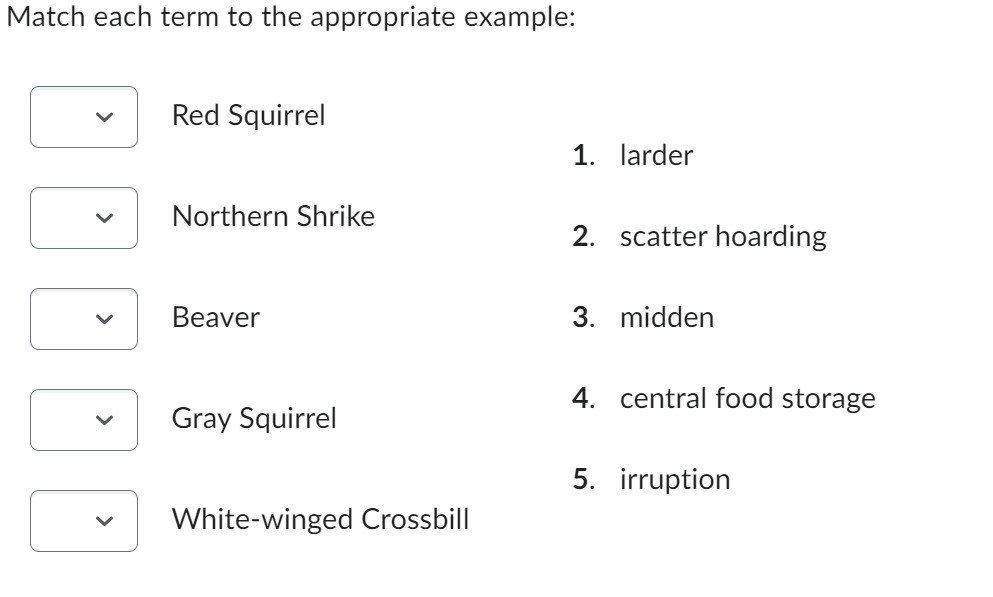 Solved Match each term to the appropriate example: Red | Chegg.com
