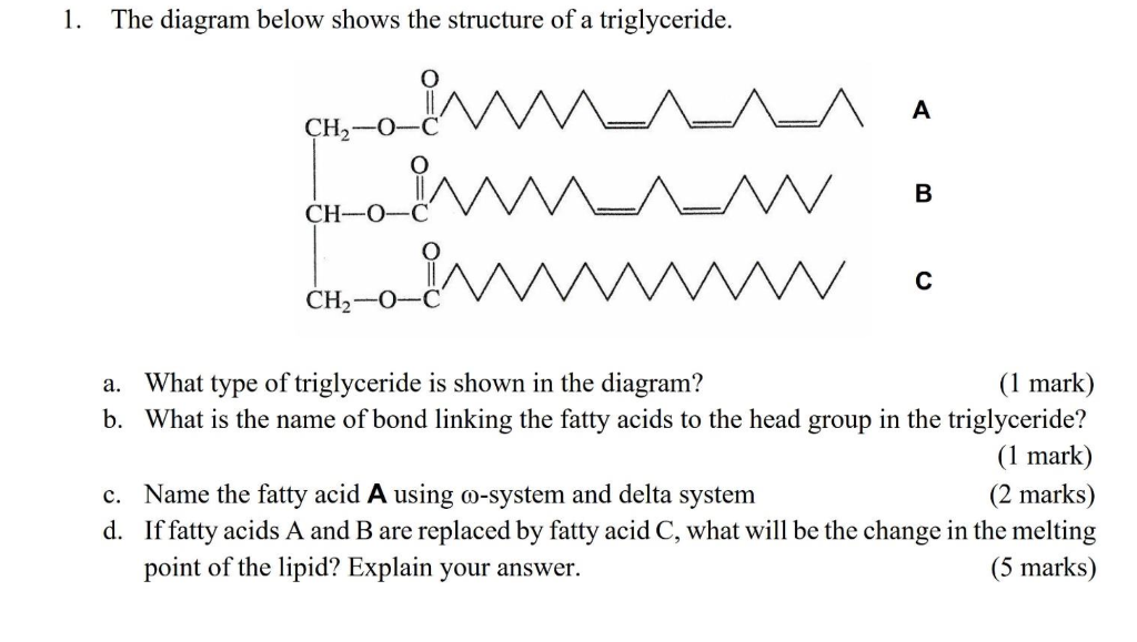Solved 1. The diagram below shows the structure of a | Chegg.com