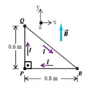 Solved In the given figure of a triangular current loop that | Chegg.com