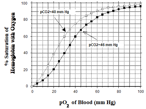 Solved Determine the percent saturation (%) of | Chegg.com