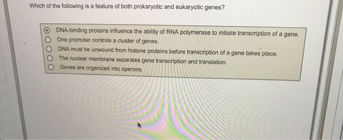Solved Which of the following is a feature of both | Chegg.com