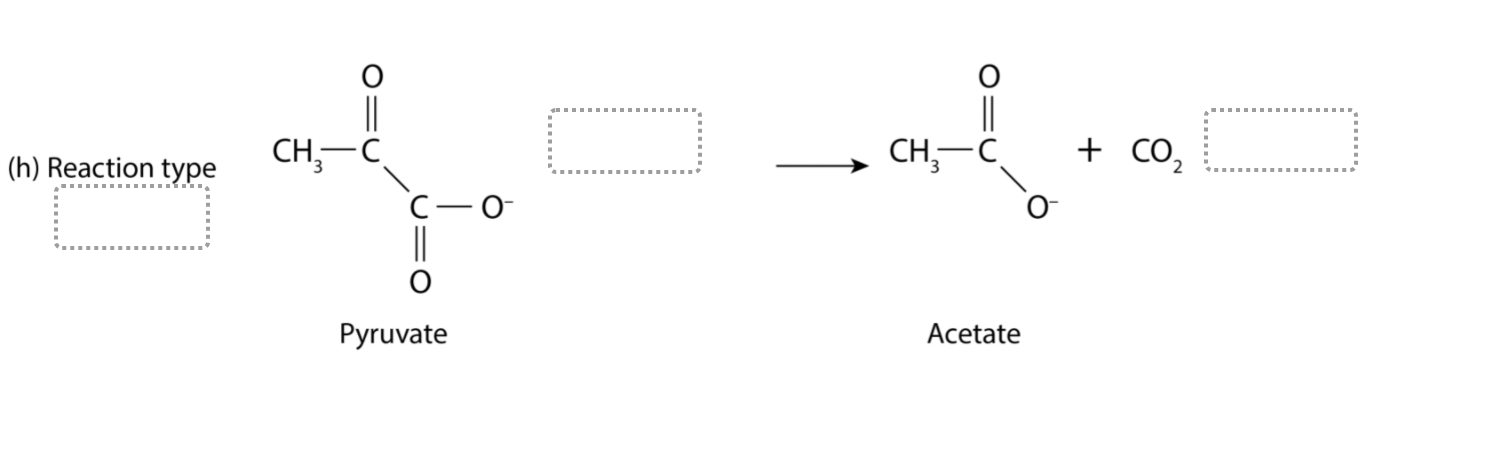 One biochemical strategy of many living organisms is | Chegg.com
