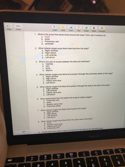 Solved ? : 125 View Zoom Insert Table Chart Text Shape Media | Chegg.com