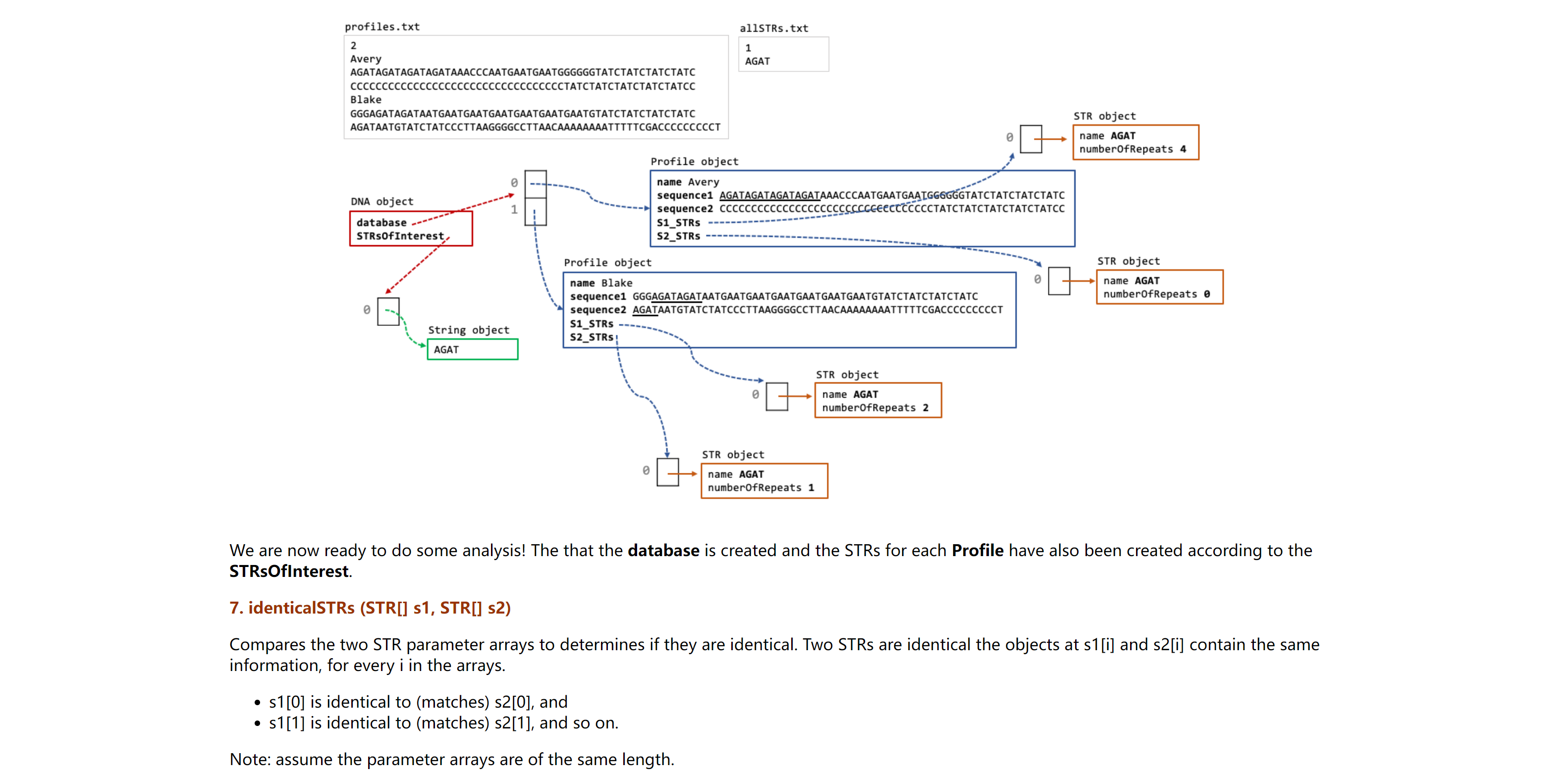 Solved * Given a DNA sequence and a singular STR, this | Chegg.com