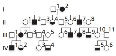 Solved 3. What mode of gene expression is exhibited in the | Chegg.com