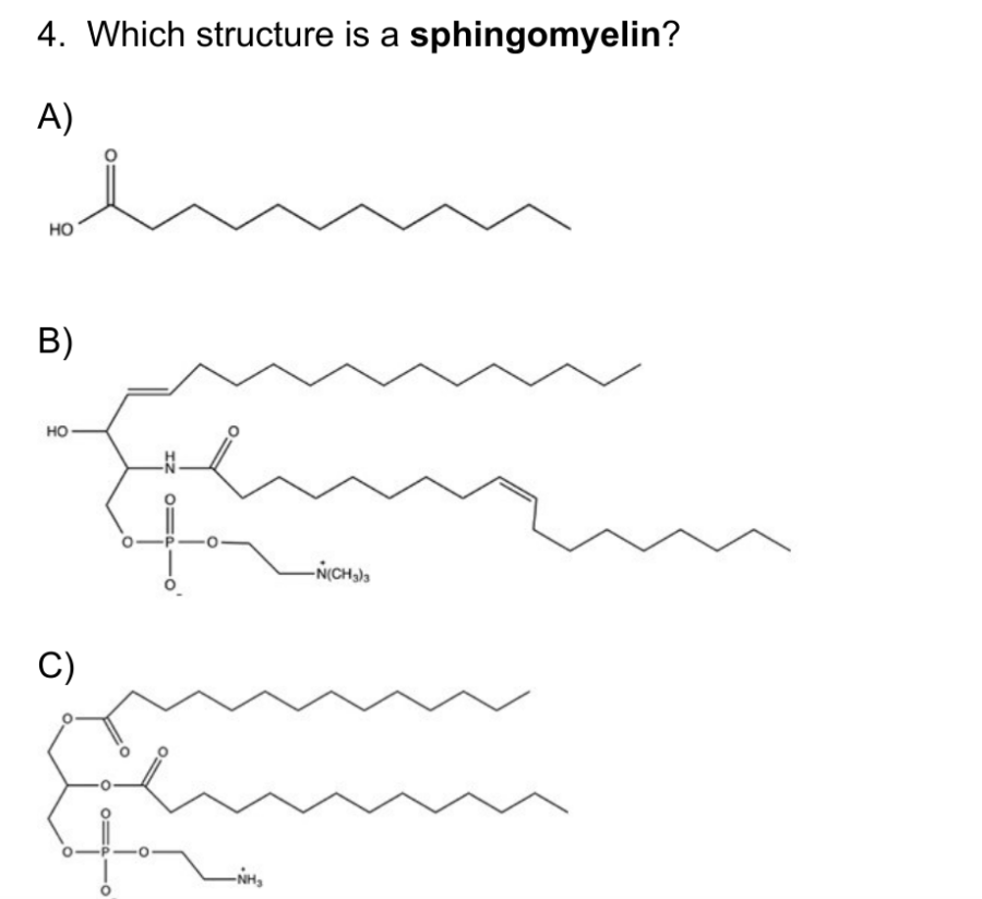 Solved 4. Which structure is a sphingomyelin? A) HO B B) HO | Chegg.com