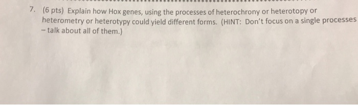 Solved 7. (6 pts) Explain how Hox genes, using the processes | Chegg.com