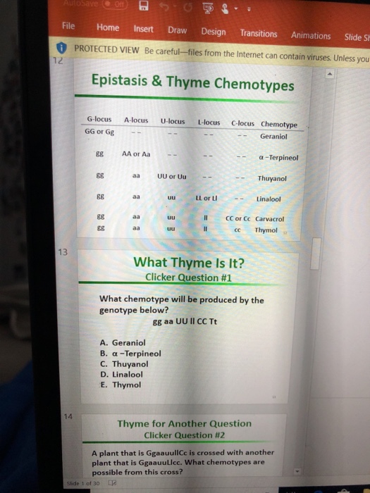 Solved File Home Insert Draw Design Transitions Animations | Chegg.com