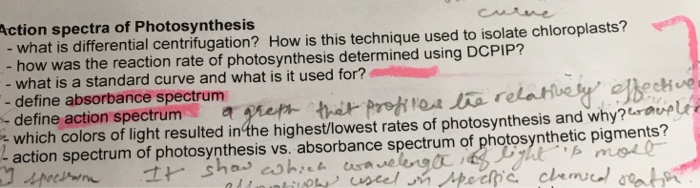 Solved Action spectra of Photosynthesis - what is | Chegg.com