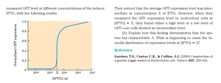 14 Engineering A Genetic Toggle Switch In
