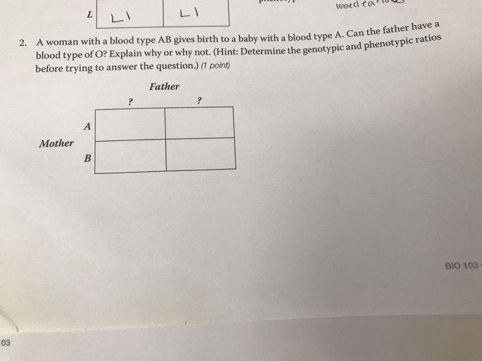 Solved 2. A woman with a blood type AB gives birth to a baby | Chegg.com