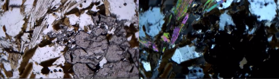 Solved Please help answer these questions for the following | Chegg.com