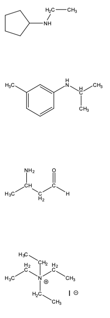 Solved -NH CH3 H3C С H3 NH2 CH Нас 2 H3C CH2 H2 H3C CH3 H2C | Chegg.com