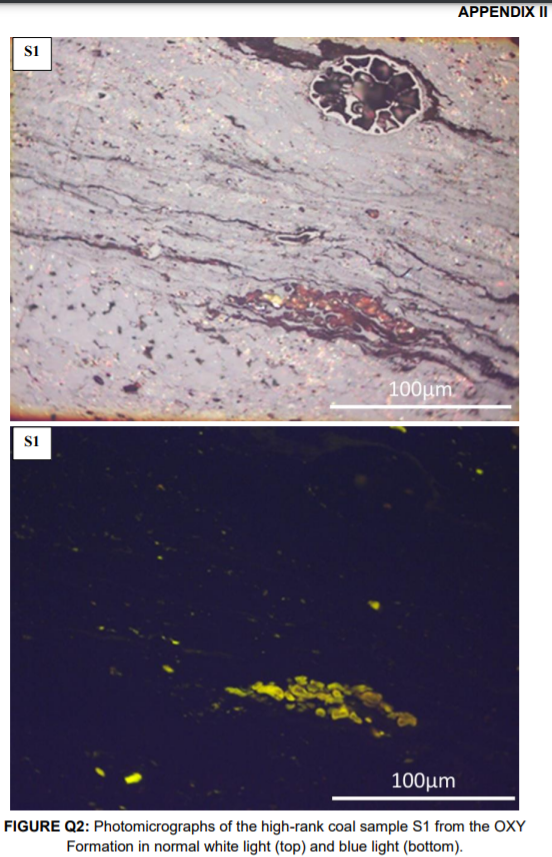 Eight photomicrographs of the high-rank coal samples | Chegg.com