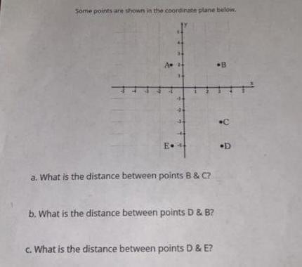 Solved some points are shown in the coordinate plane below. | Chegg.com