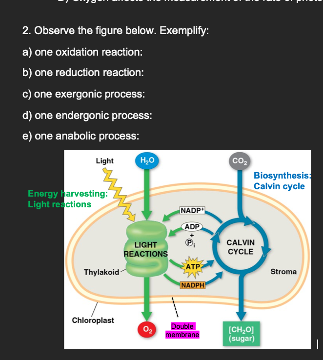 Solved 2. Observe the figure below. Exemplify: a) one | Chegg.com