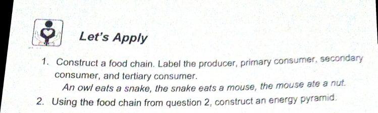 Solved Let's Apply 1. Construct a food chain. Label the | Chegg.com