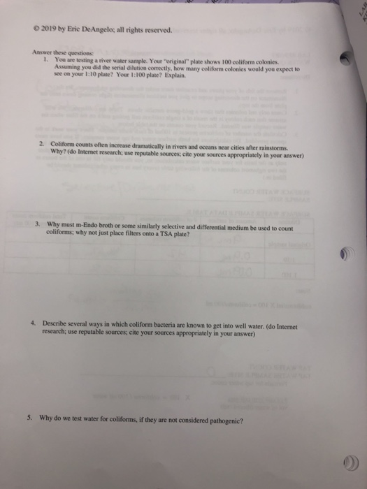 Solved O 2019 by Eric DeAngelo, all rights reserved. Answer | Chegg.com