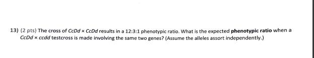 Solved 13) (2 pts) The cross of CcDd CcDd results in a | Chegg.com