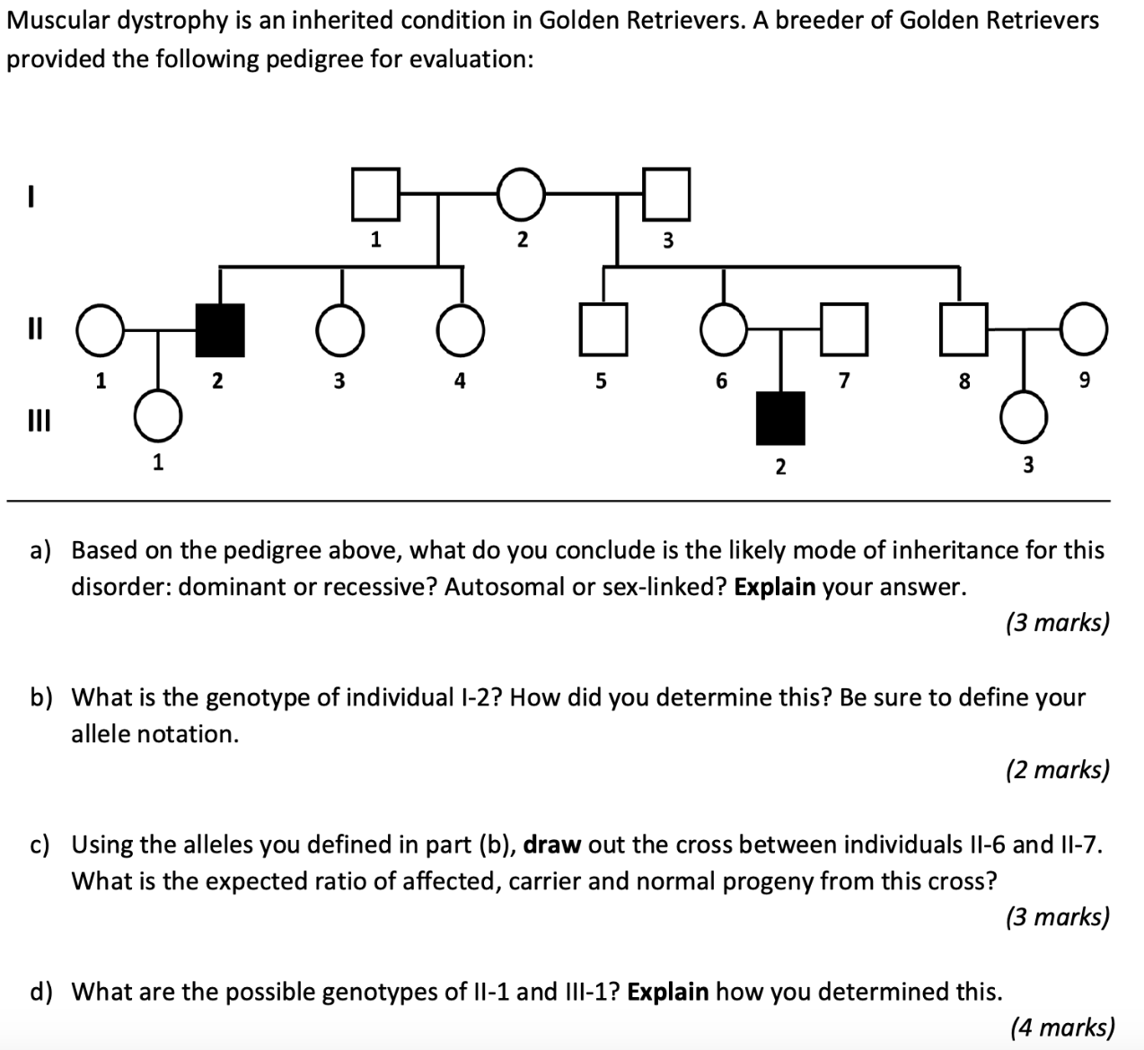 Solved Muscular dystrophy is an inherited condition in | Chegg.com