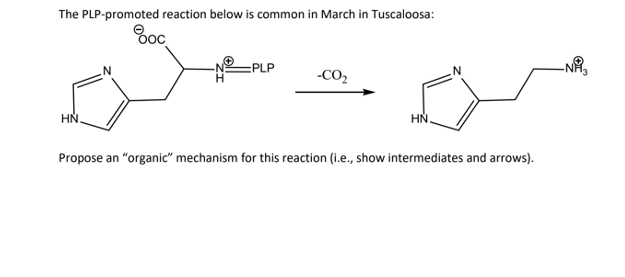 Solved The PLP-promoted reaction below is common in March in | Chegg.com