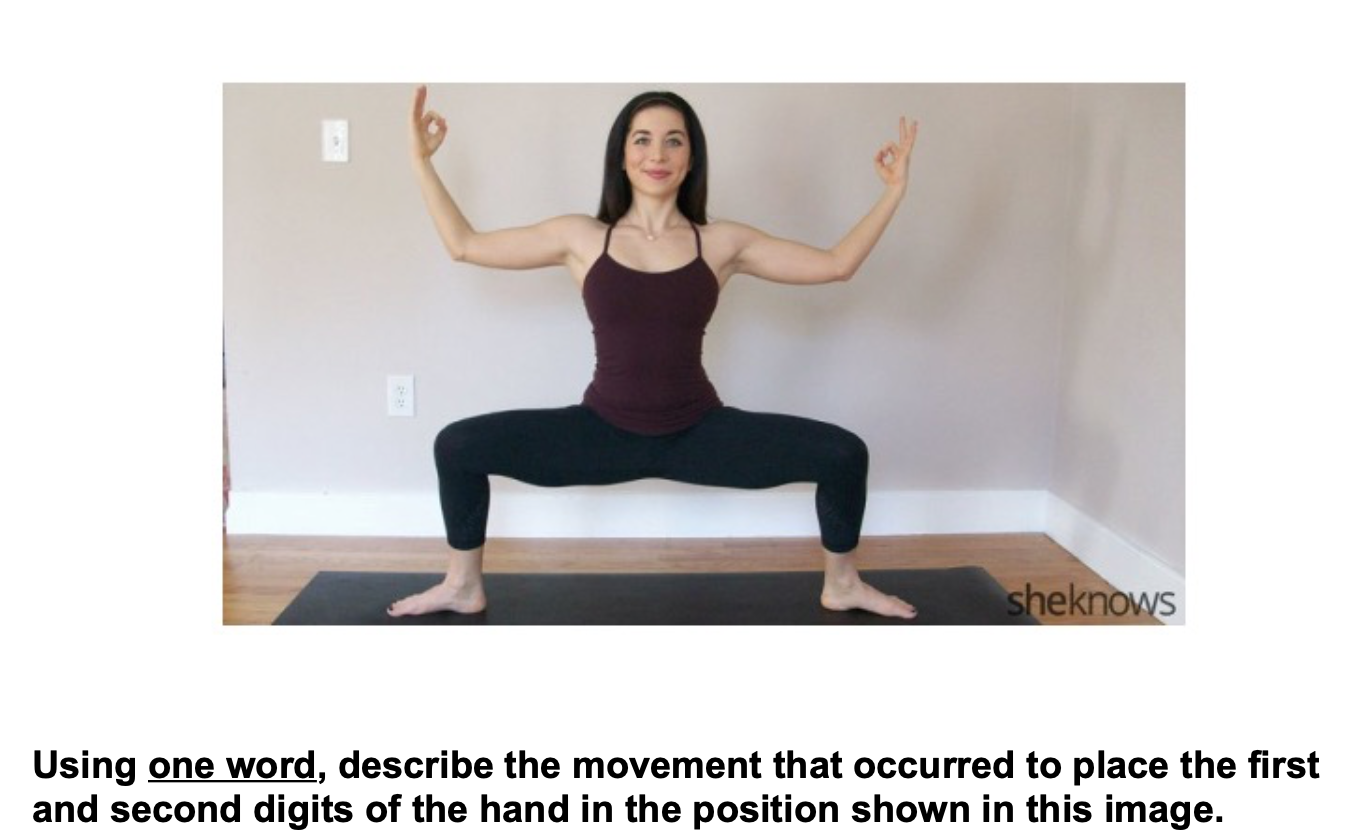 Solved Using one word, describe the movement that occurred | Chegg.com