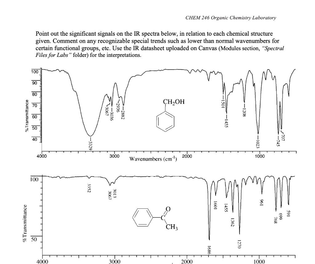 Solved CHEM 246 Organic Chemistry Laboratory Point out the | Chegg.com