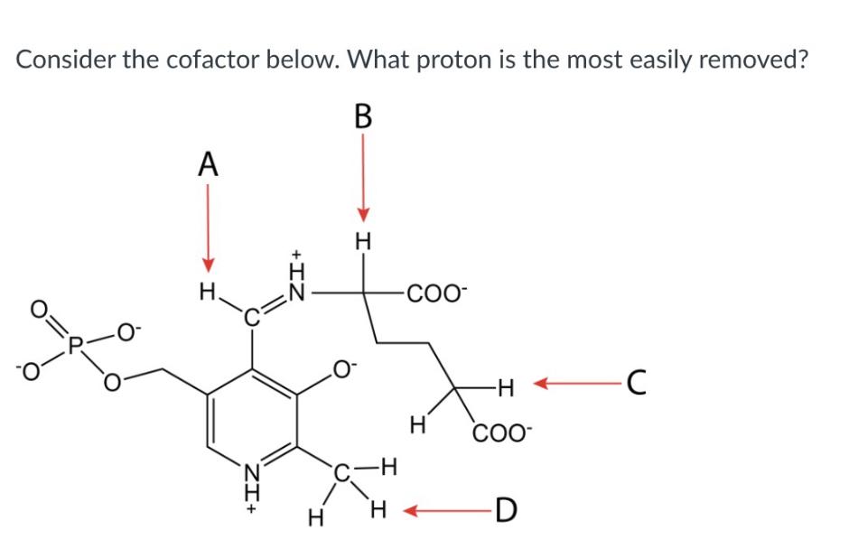 Solved A particular enzyme follows a bi-bi ping-pong | Chegg.com