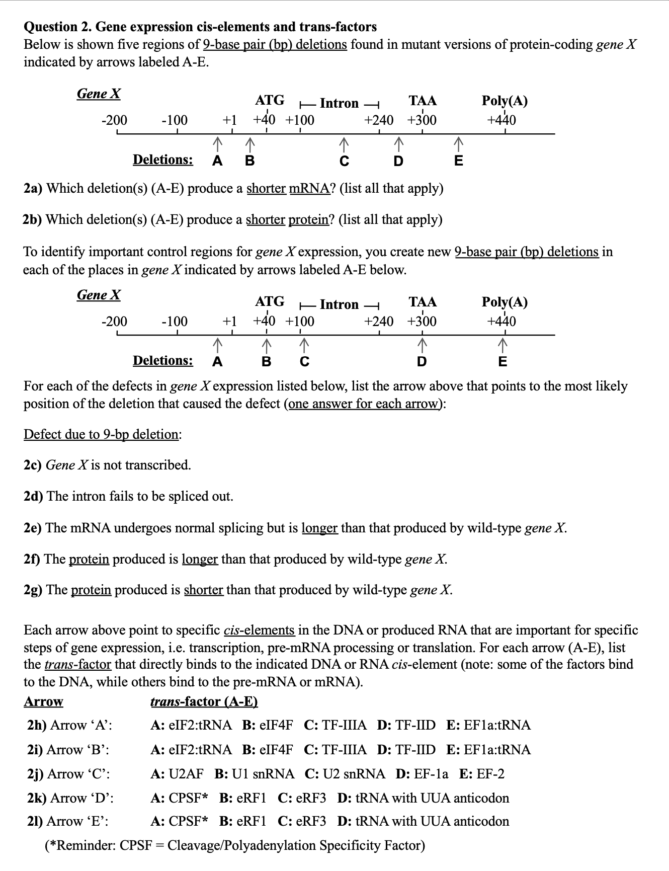 Solved Question 2. Gene expression cis-elements and | Chegg.com