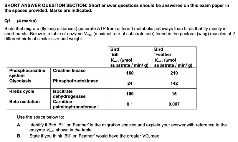 Solved SHORT ANSWER QUESTION SECTION: Short answer questions | Chegg.com
