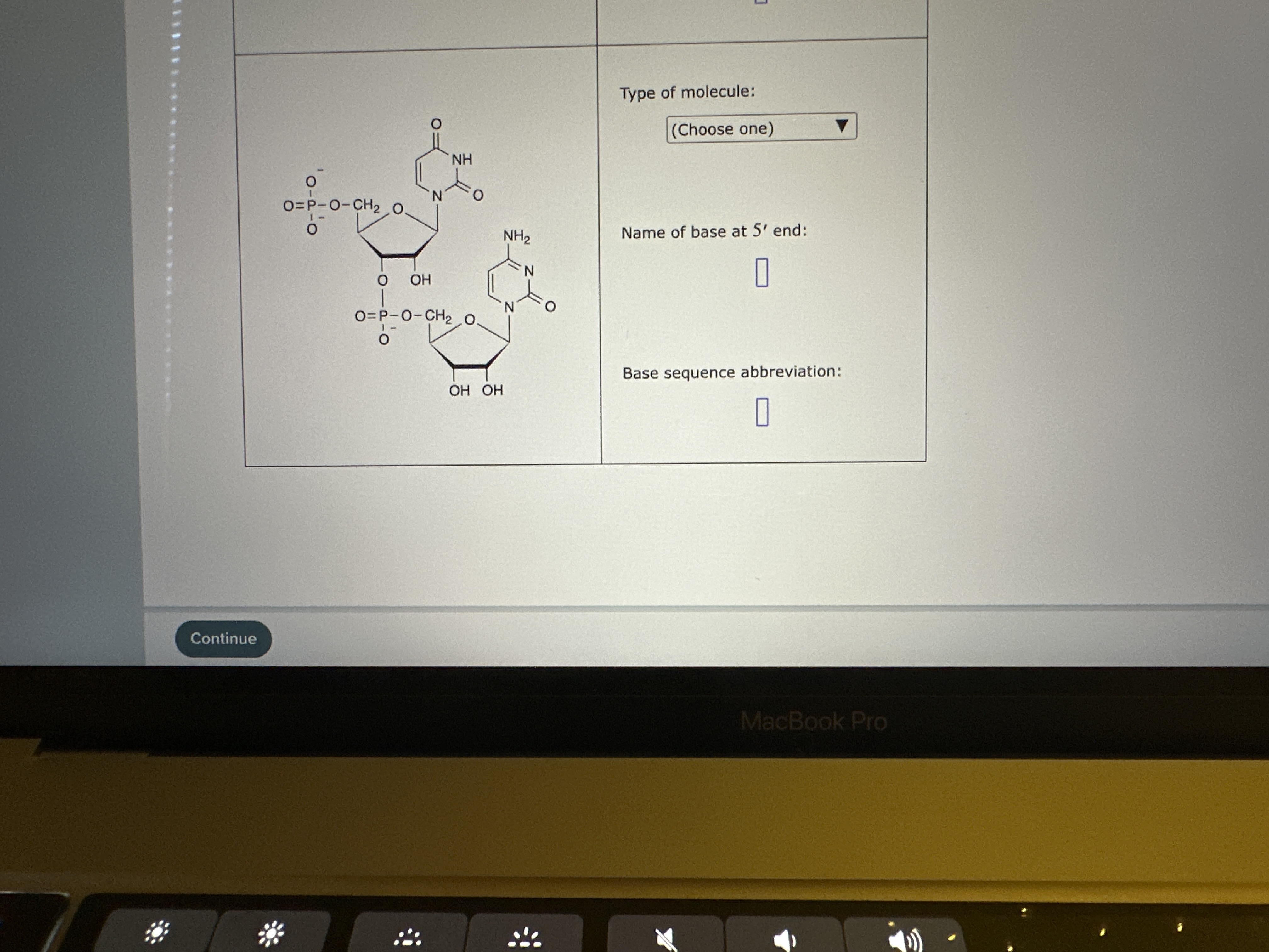 Solved Type of molecule: Name of base at 5′ end: Base | Chegg.com