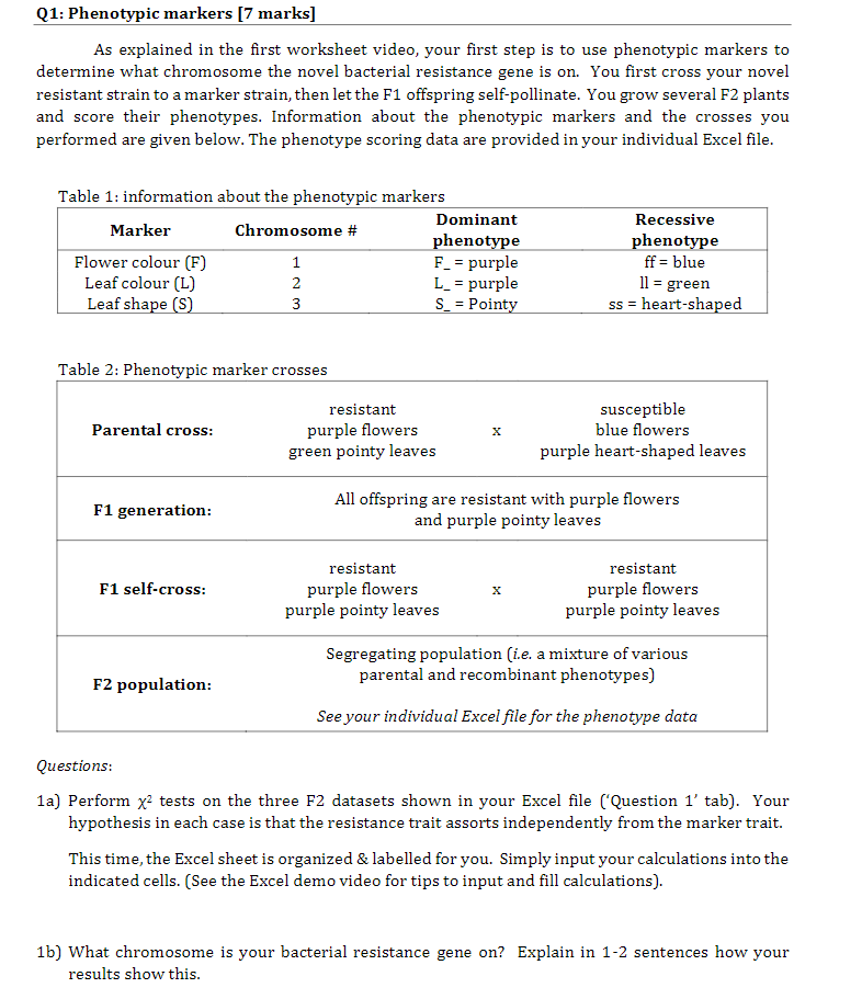 Solved Q1: Phenotypic markers [7 marks] As explained in the | Chegg.com