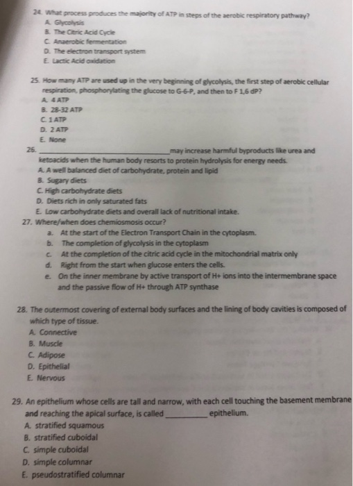 Solved DNA is a block of building 1. The basic monomer A. | Chegg.com