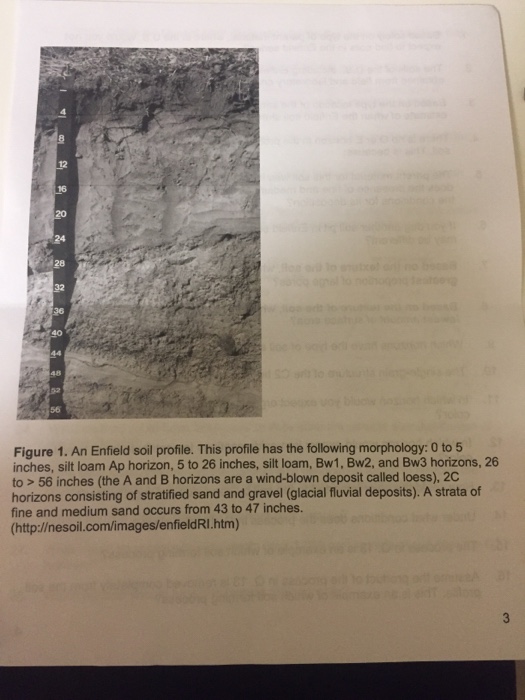 Solved Table 1. Abridged official description of an Enfield | Chegg.com