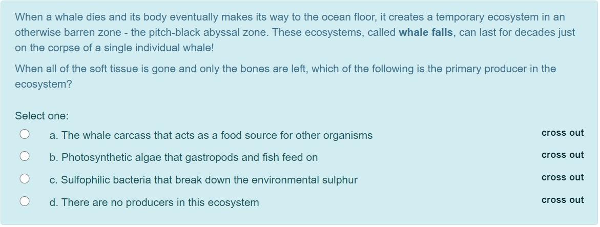 Solved When a whale dies and its body eventually makes its | Chegg.com