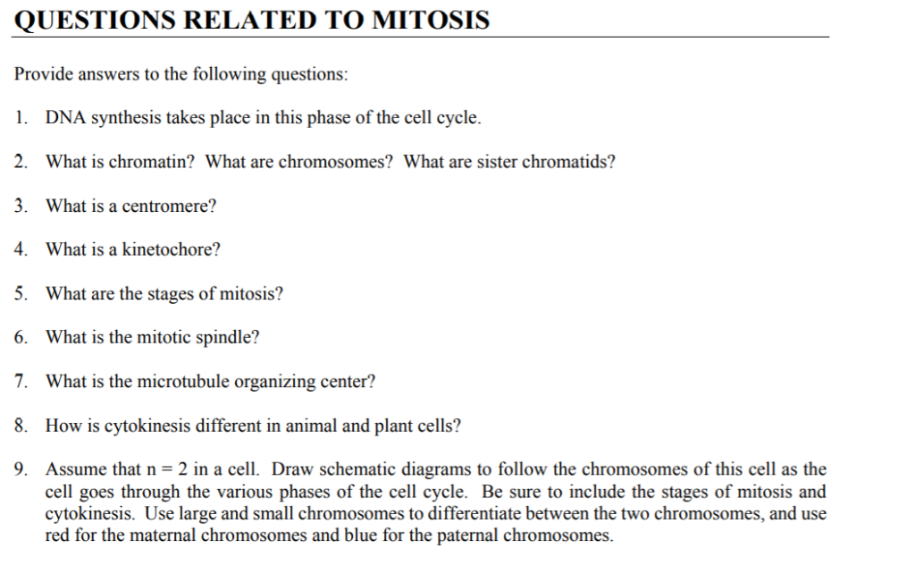 Solved QUESTIONS RELATED TO MITOSIS Provide answers to the | Chegg.com