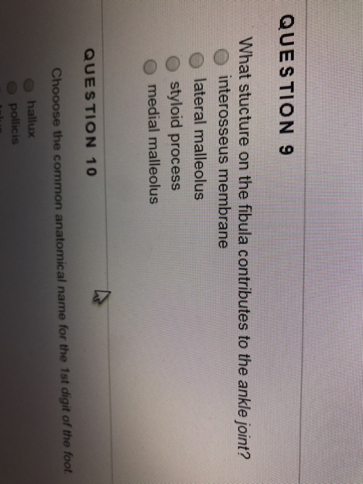 solved-question-9-what-stucture-on-the-fibula-contributes-to-chegg