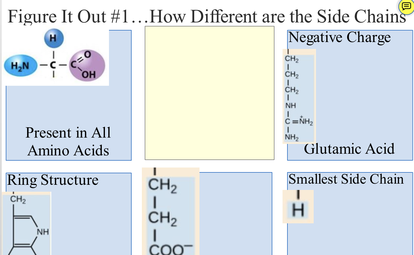 Solved Figure It Out #1...How Different are the Side Chains | Chegg.com