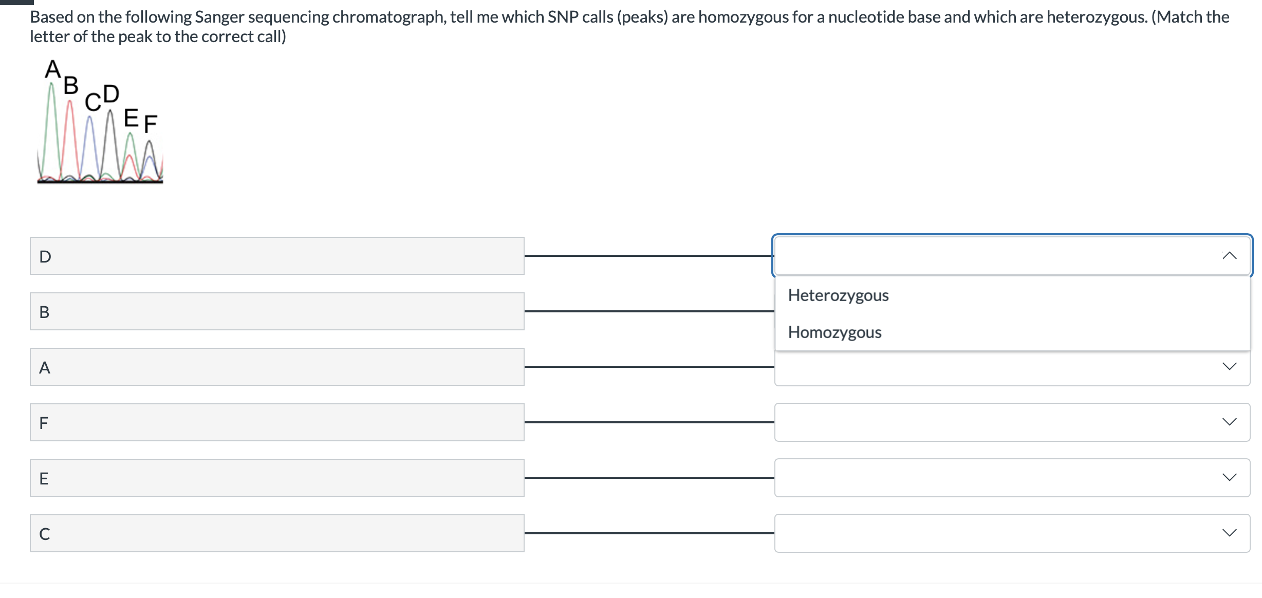 Solved Based on the following Sanger sequencing | Chegg.com