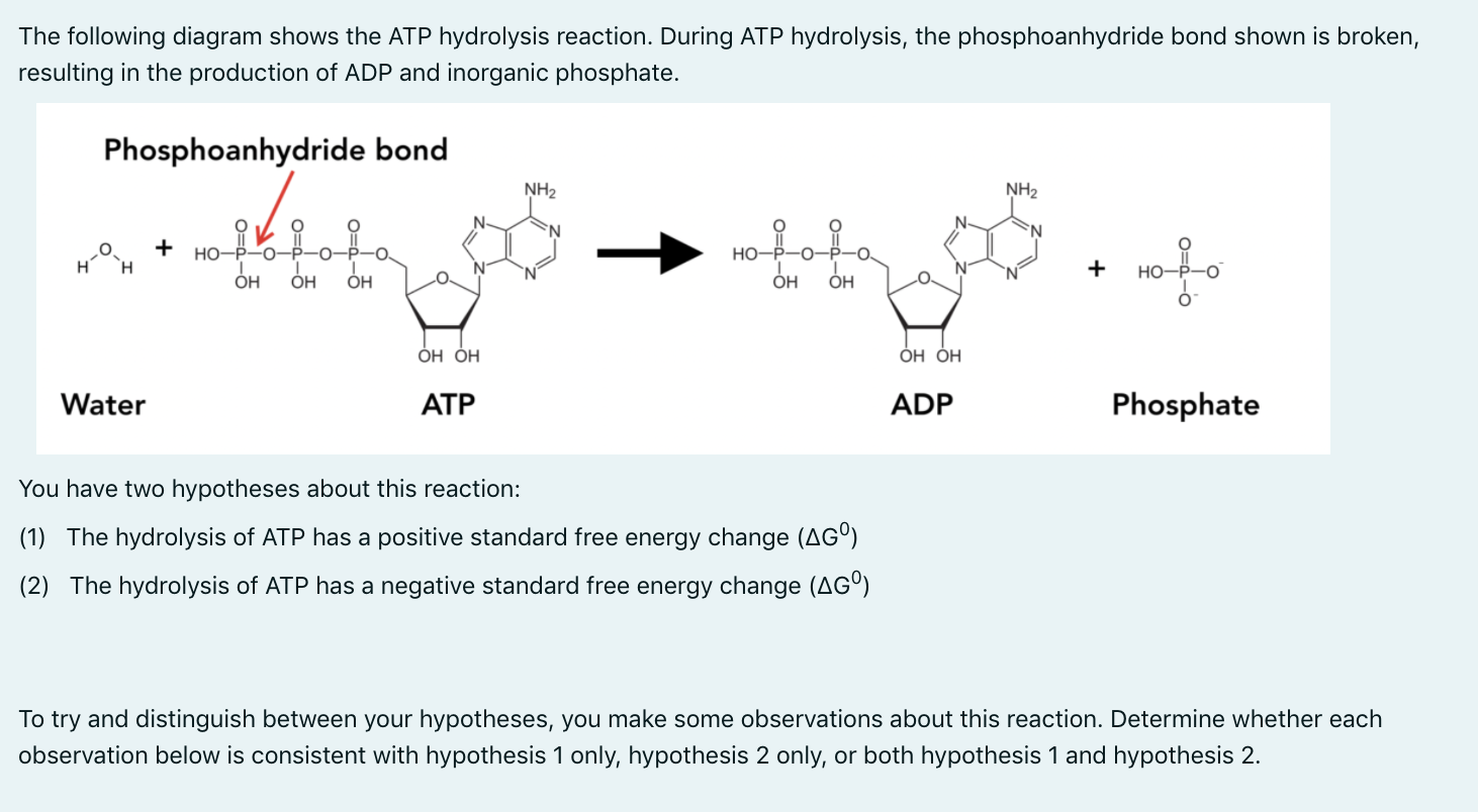 solved-the-following-diagram-shows-the-atp-hydrolysis-chegg