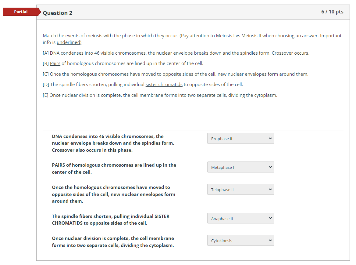 Solved Match the events of meiosis with the phase in which | Chegg.com