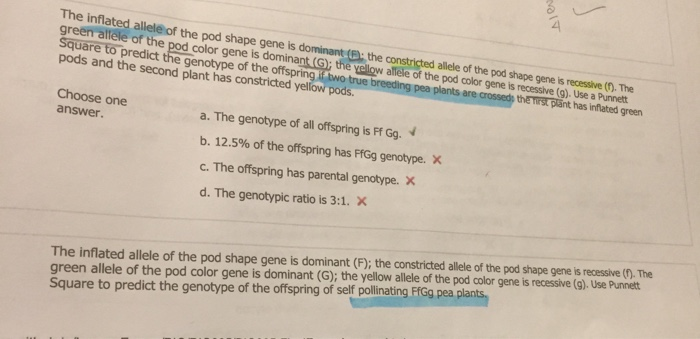 Solved The inflated allele of the pod shape gene is dominant | Chegg.com