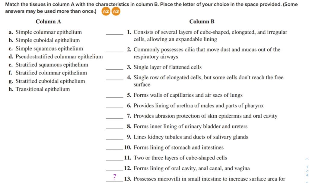 Solved Match the tissues in column A with the | Chegg.com