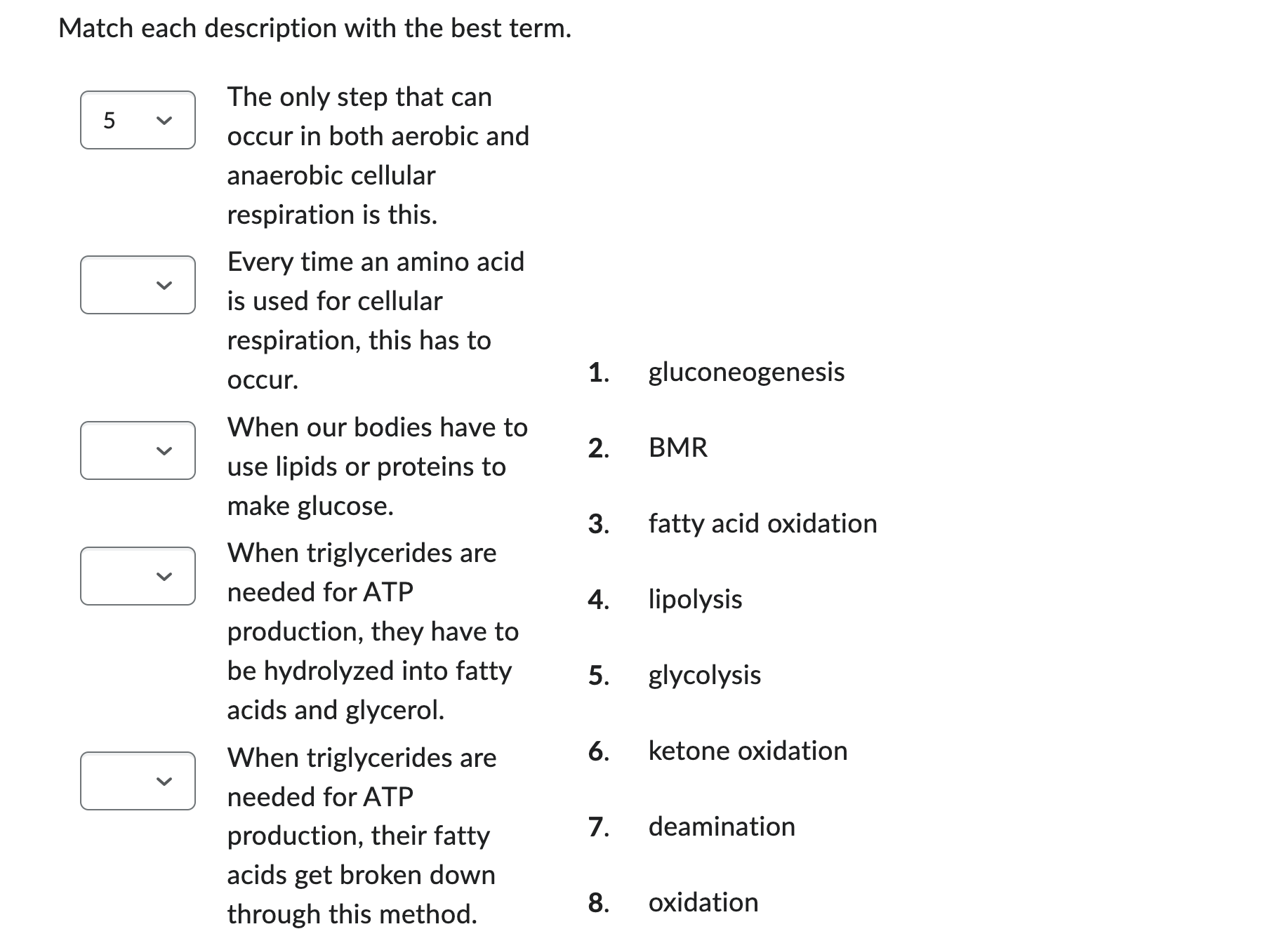 Solved Match each description with the best term. The only | Chegg.com